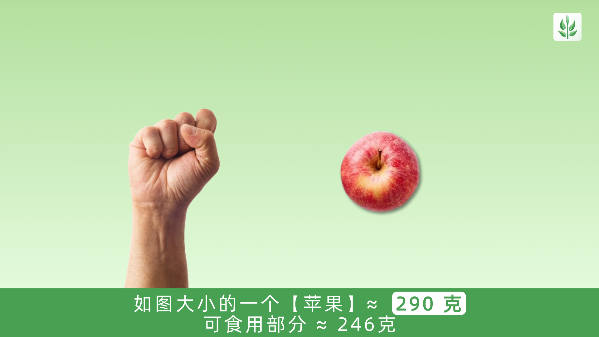 食物重量估算指南 – 食卡卡®