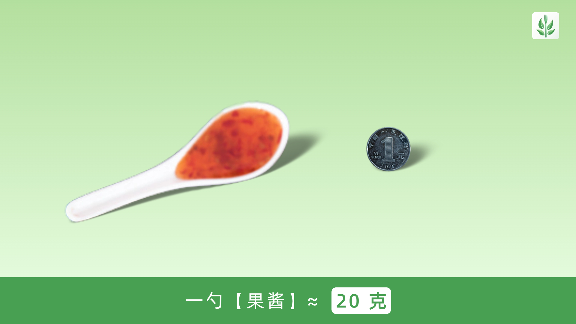 食物重量估算指南 – 食卡卡®